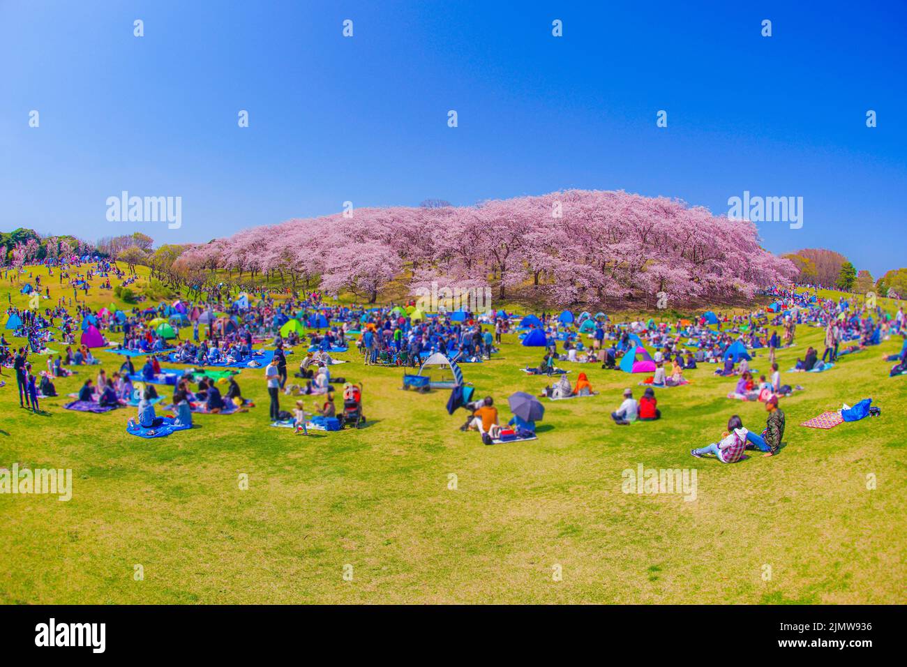 Honkemiki summit park hi-res stock photography and images - Alamy