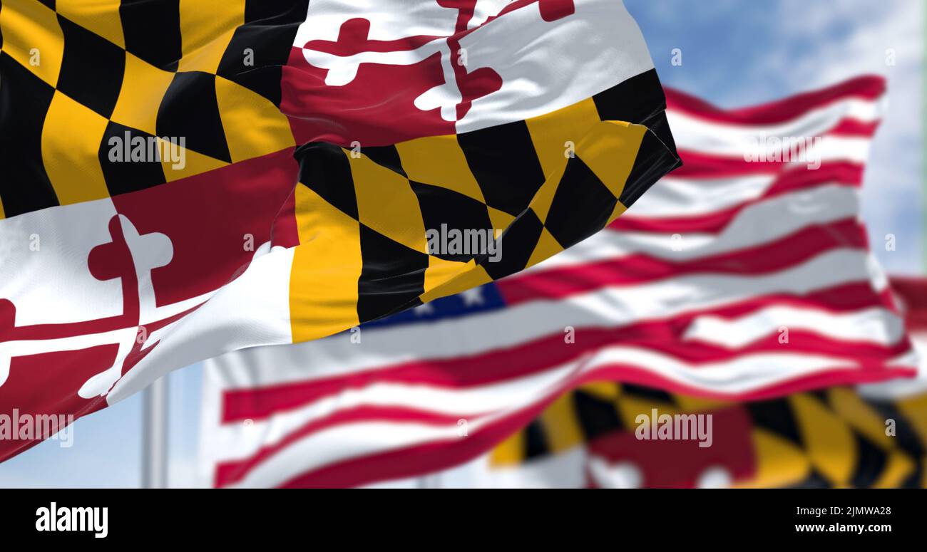 The Maryland state flag waving along with the national flag of the ...