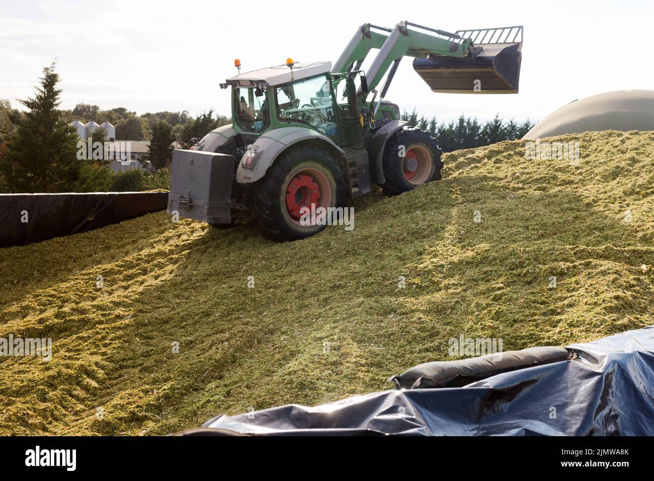 Production of fodder in agricultural complex Stock Photo - Alamy