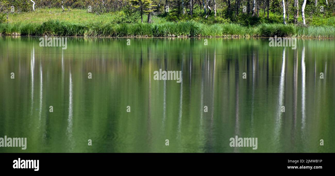 beautiful reflections of trees in a lake creating summer feelings Stock ...