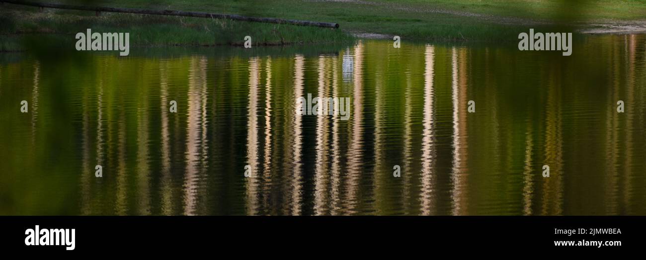 beautiful reflections of trees in a lake creating summer feelings Stock ...