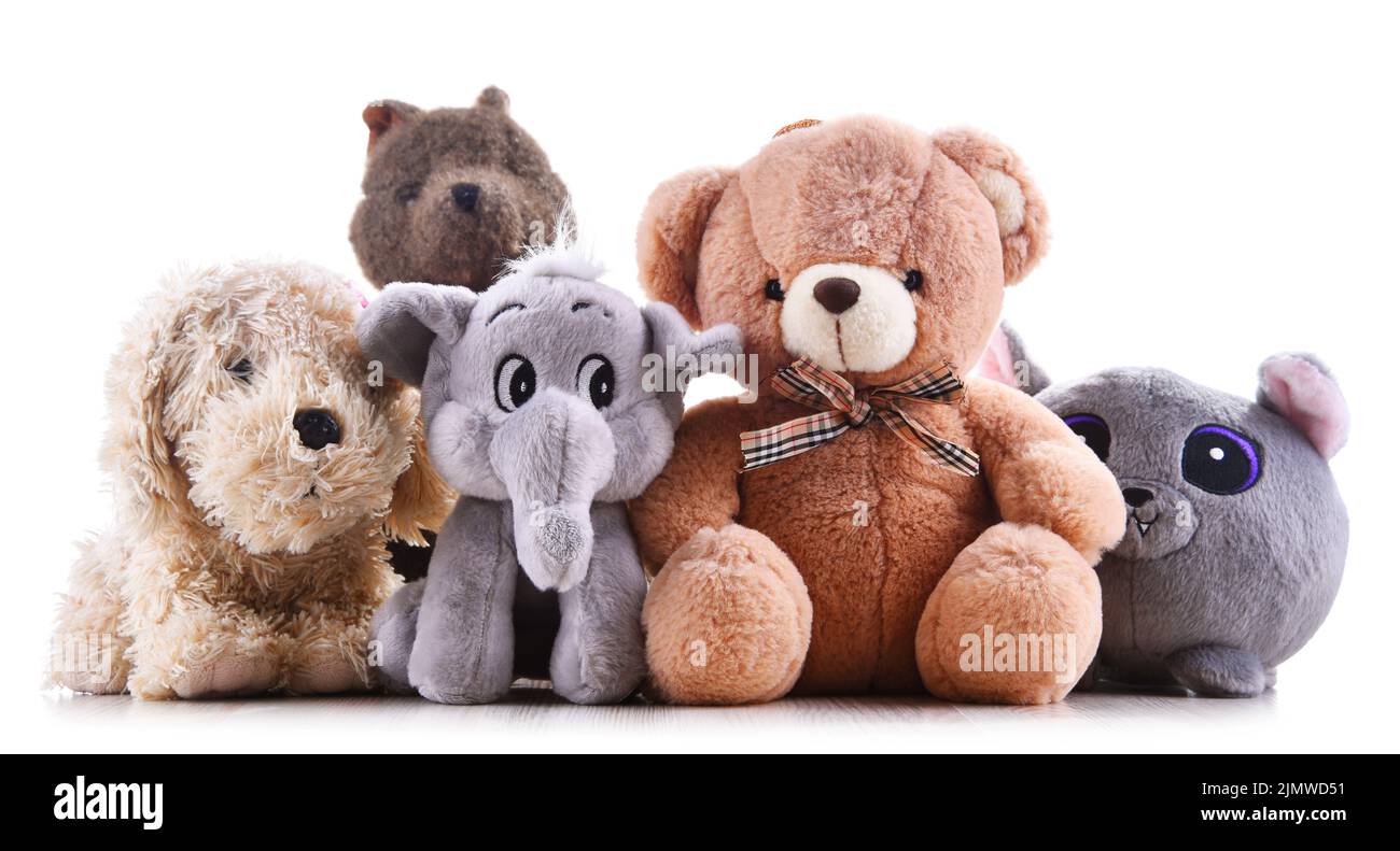 Stuffed animal toys isolated on white background Stock Photo - Alamy
