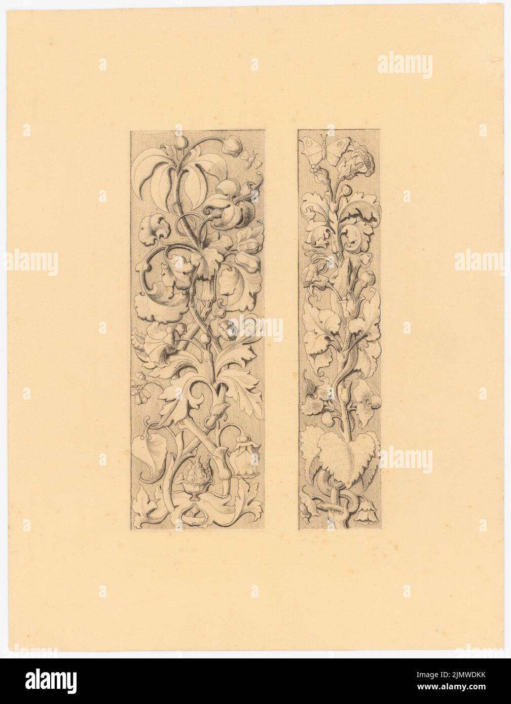 Snake butterfly pencil drawing hi-res stock photography and images - Alamy