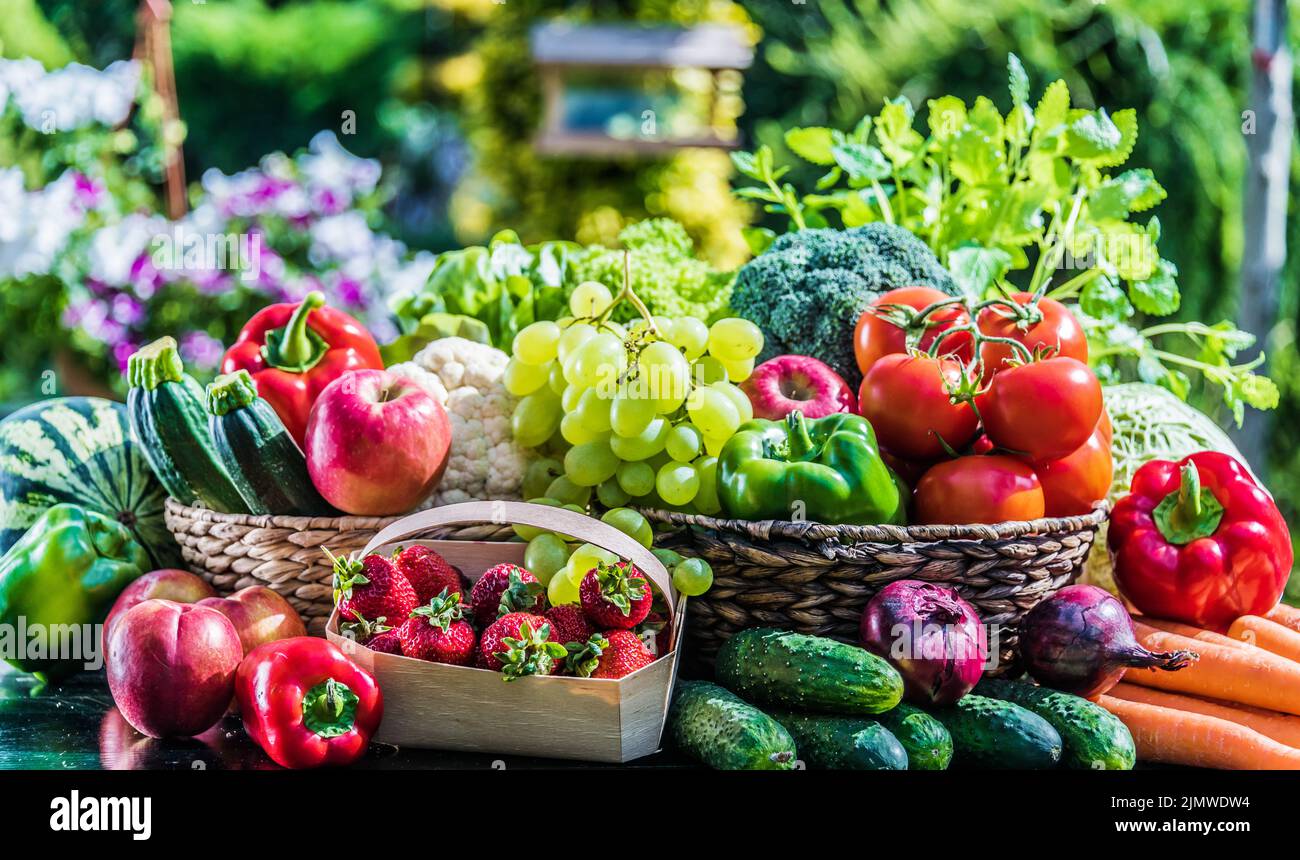 Variety of fresh organic vegetables and fruits in the garden. Balanced ...
