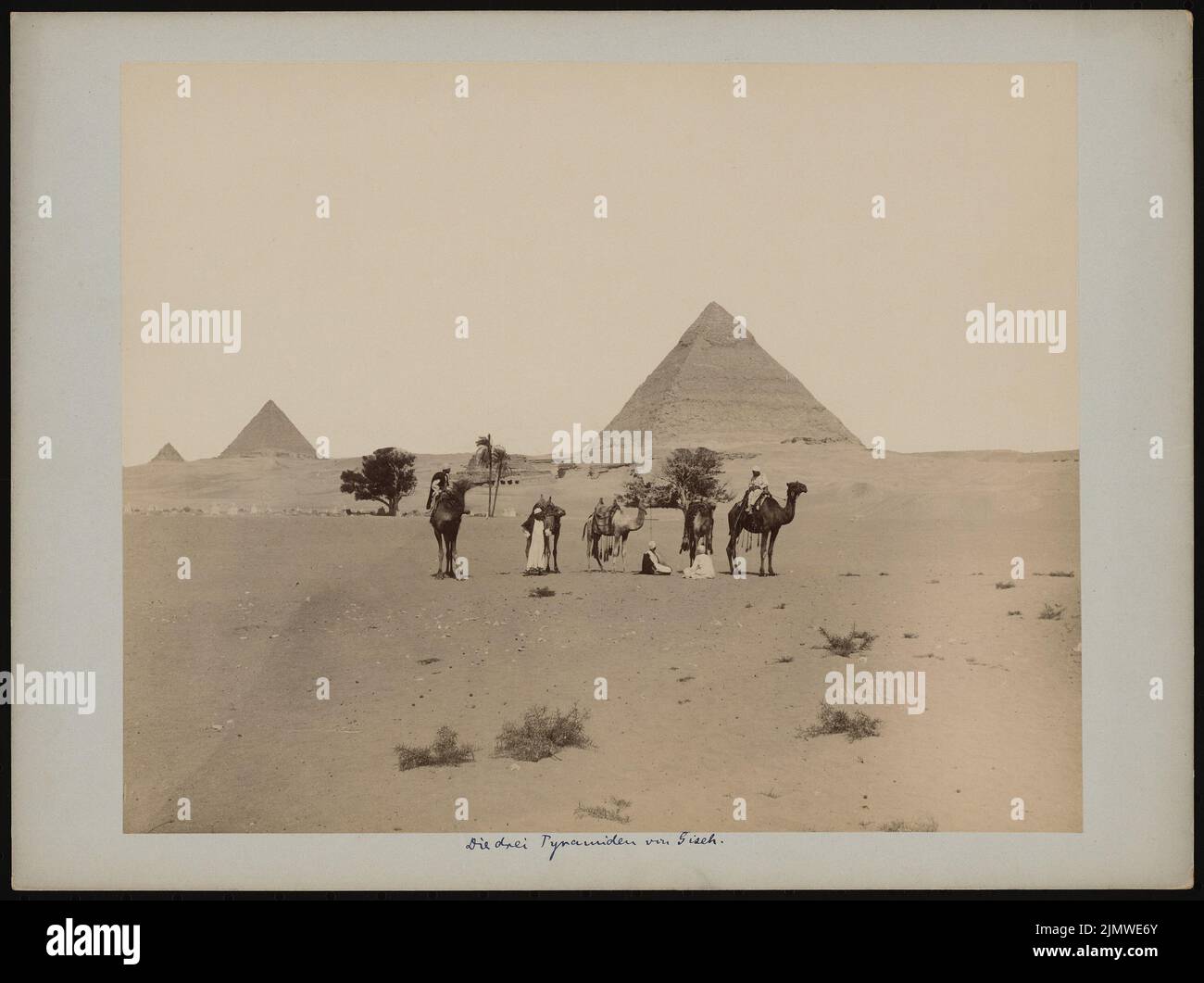 Beato Antonio, Pyramids in Gizeh (without dat.): View with camels ...