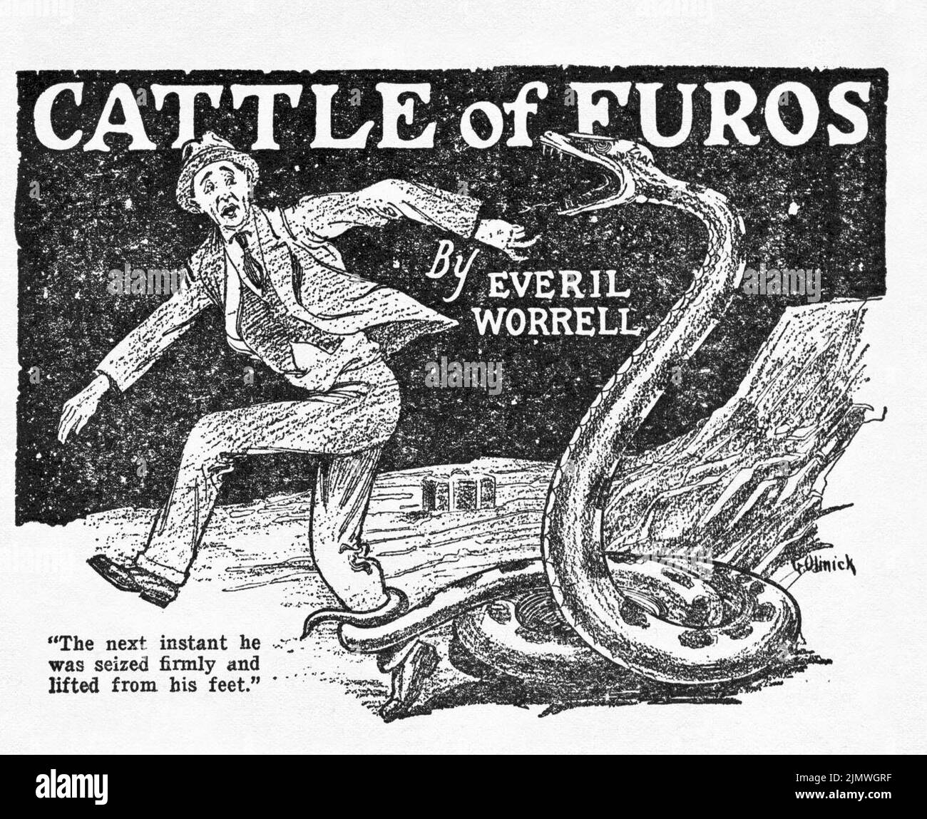 Cattle of Furos, by Everil Worrell. Illustration by G. O. Olinick from ...