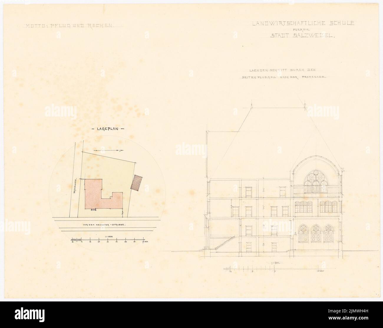 34 5 cm Cut Out Stock Images & Pictures - Alamy