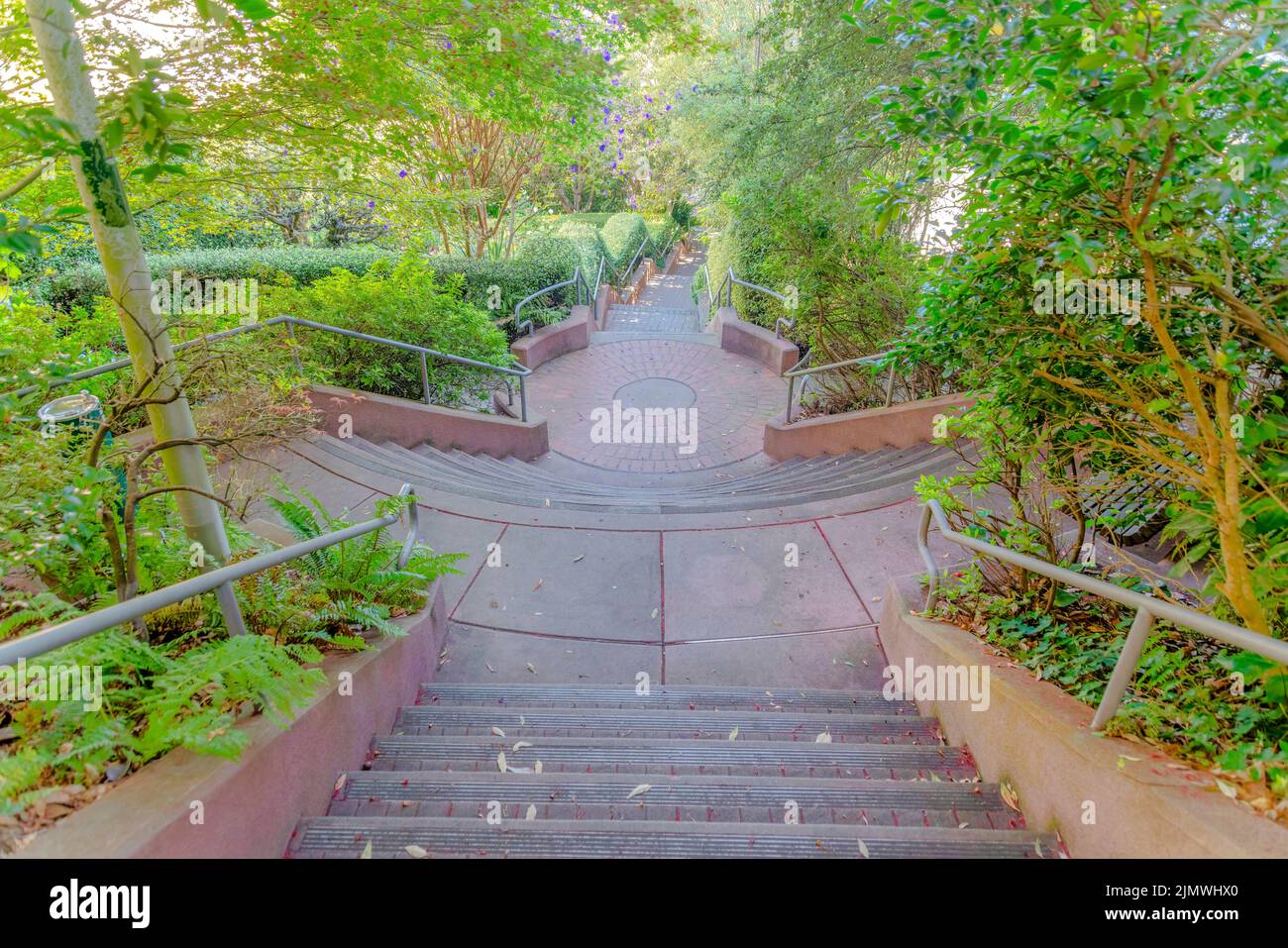 Outdoor staircase on a slope with plants and trees on the side at San ...