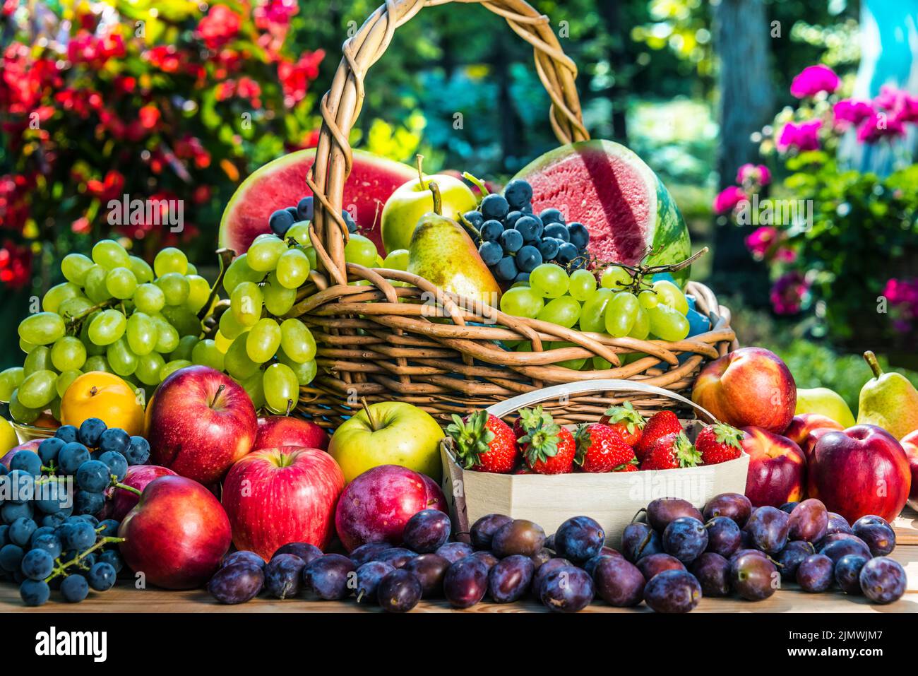 Variety of fresh ripe fruits in the garden. Balanced diet Stock Photo ...