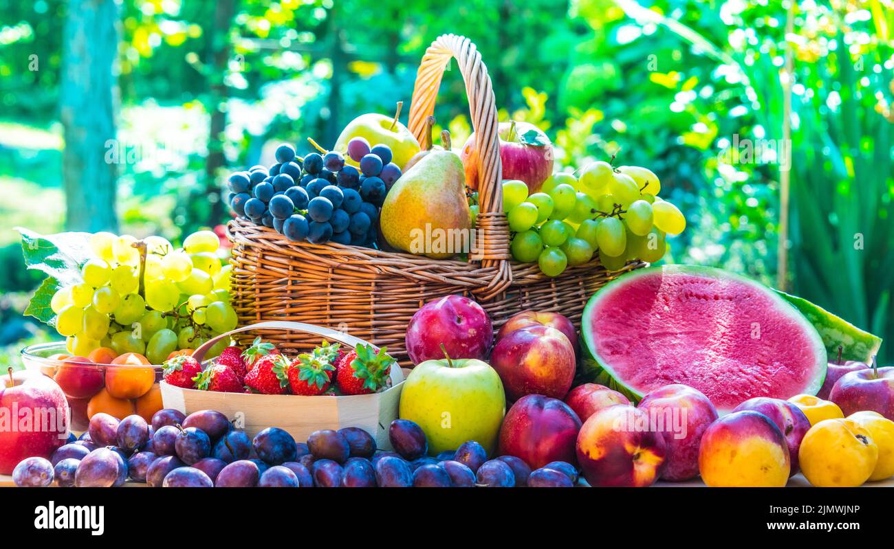 Variety of fresh ripe fruits in the garden. Balanced diet Stock Photo ...
