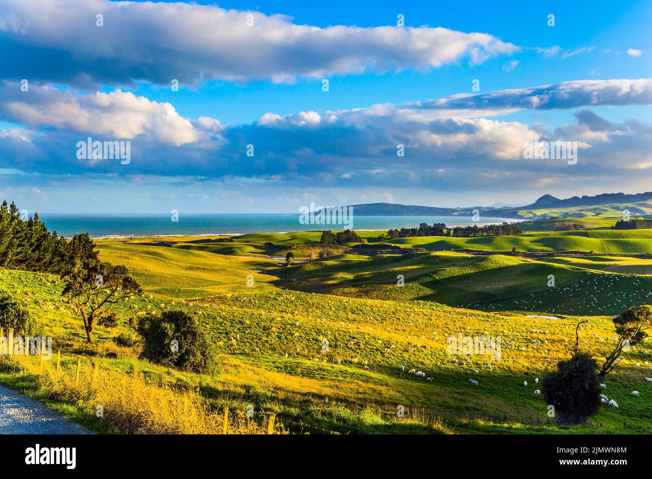 Southern evening hi-res stock photography and images - Alamy