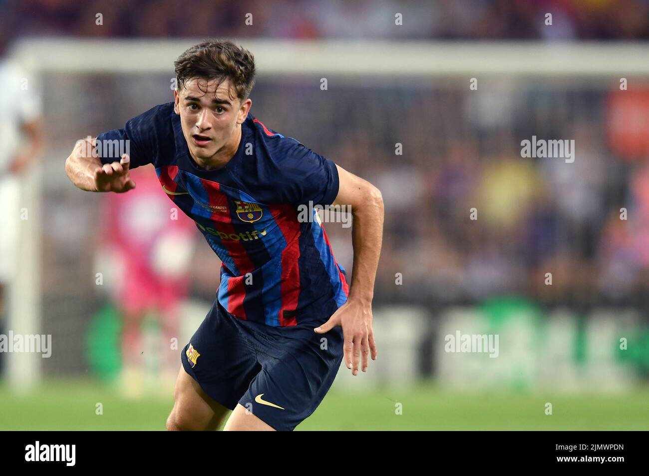 30 gavi hi-res stock photography and images - Alamy