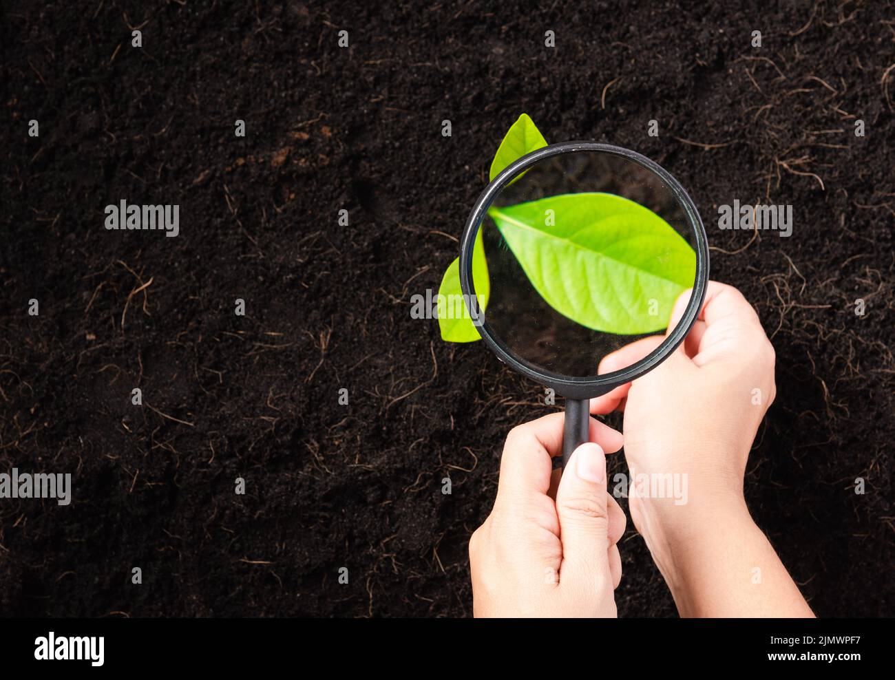Hand of researcher woman holding a magnifying glass on black soil at ...