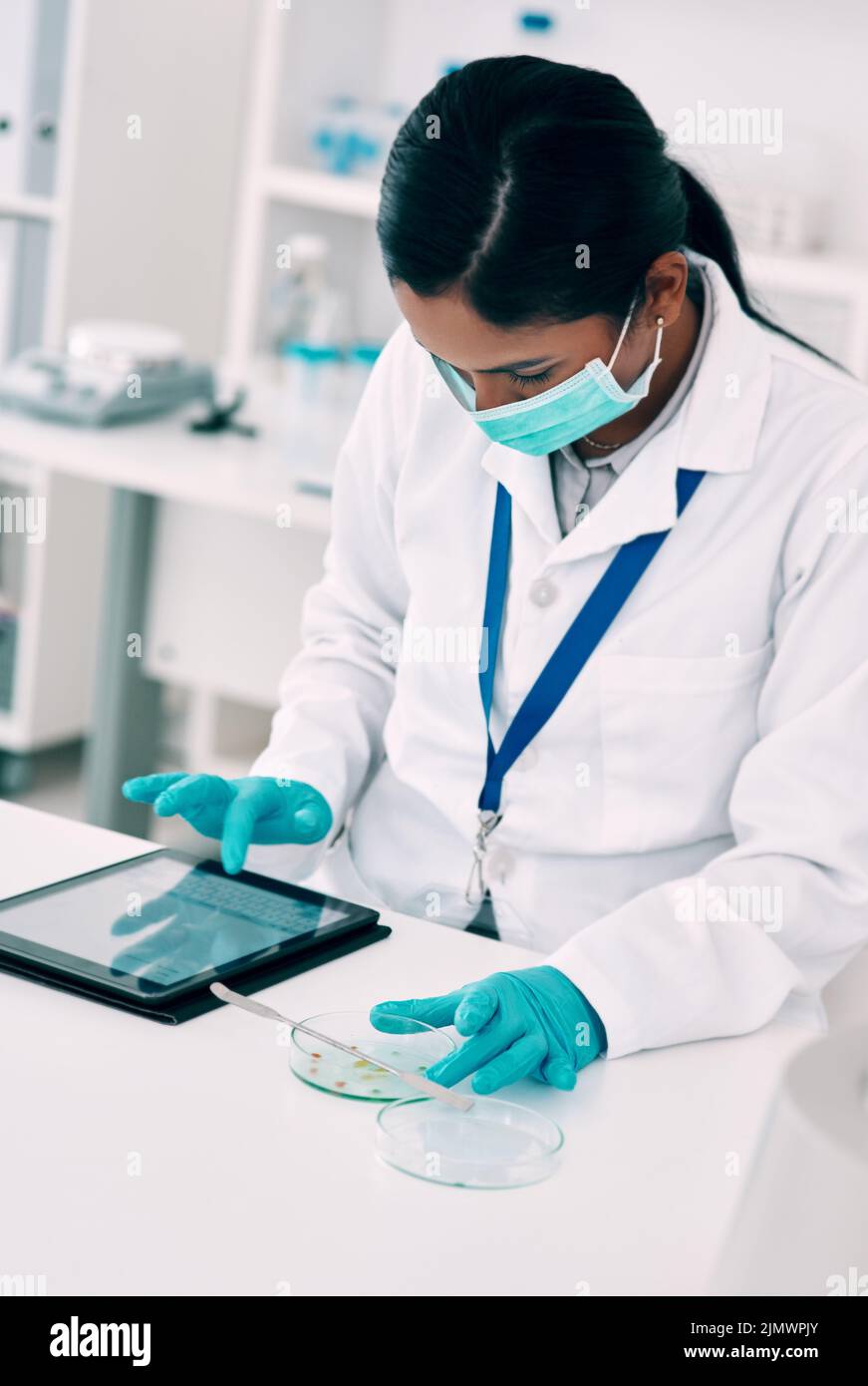 Professional guide using digital hi-res stock photography and images ...