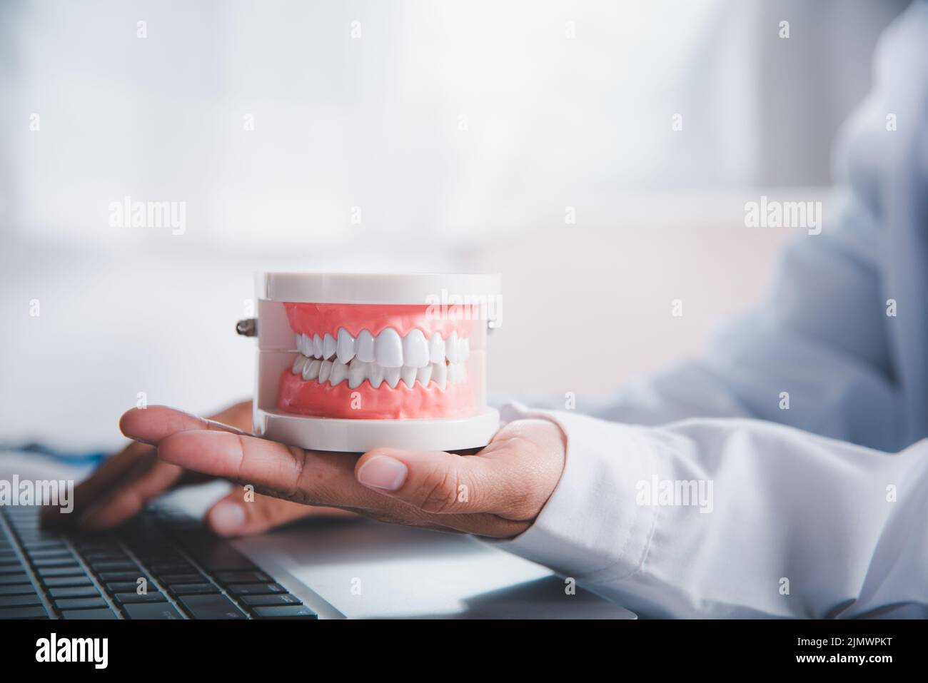 Dentist woman hand holding educational jaw model of oral cavity with ...