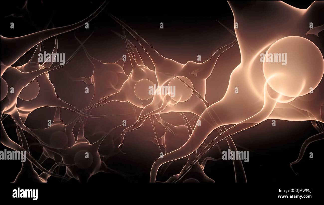 Medical neuron hi-res stock photography and images - Alamy