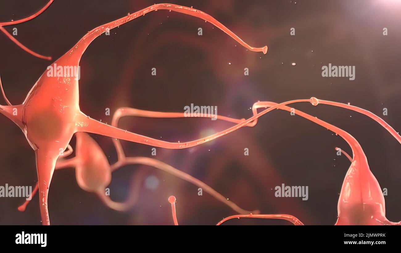 Neural signaling hi-res stock photography and images - Alamy
