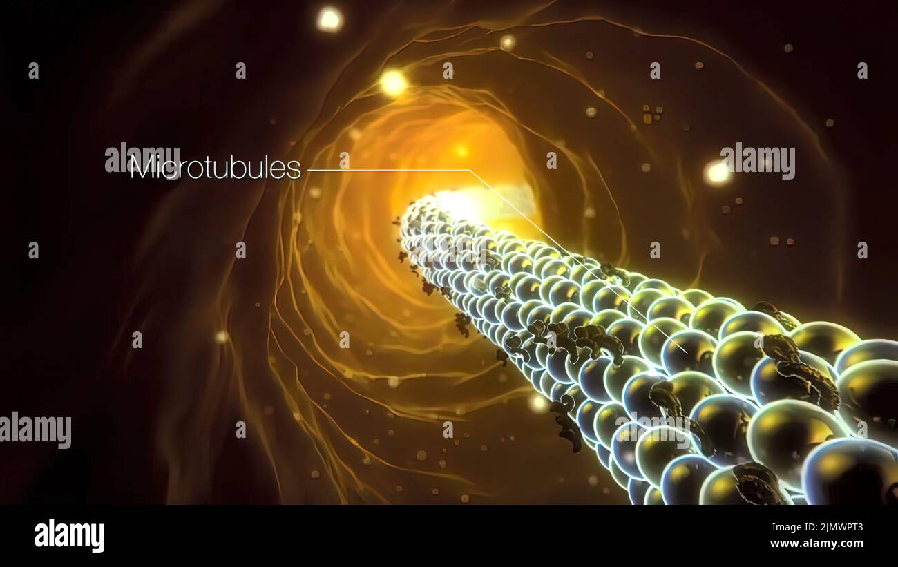 Neuro connections hi-res stock photography and images - Alamy