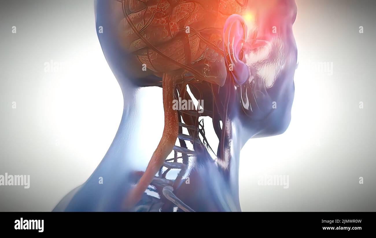 Neuro connections hi-res stock photography and images - Alamy