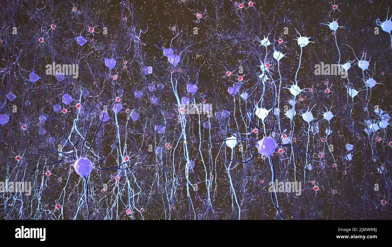 Neuro connections hi-res stock photography and images - Alamy