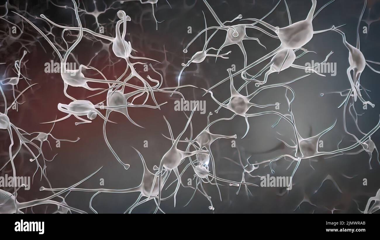 Nervous signals hi-res stock photography and images - Alamy