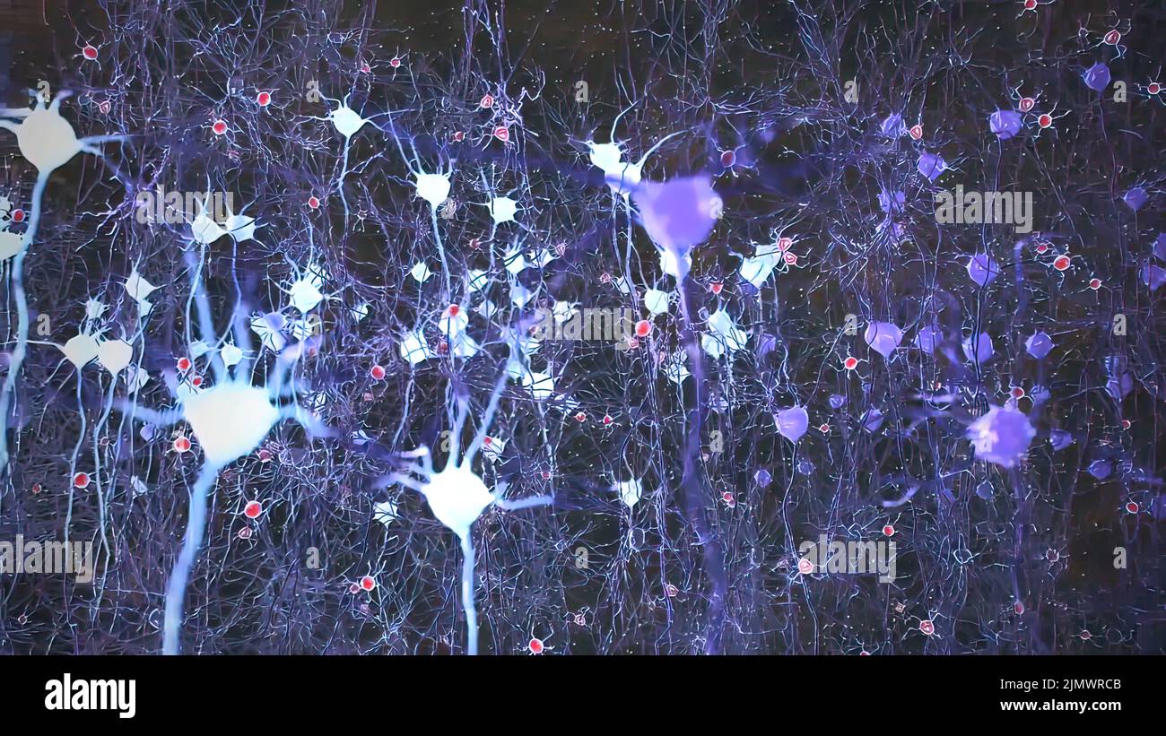 Neuro connections hi-res stock photography and images - Alamy