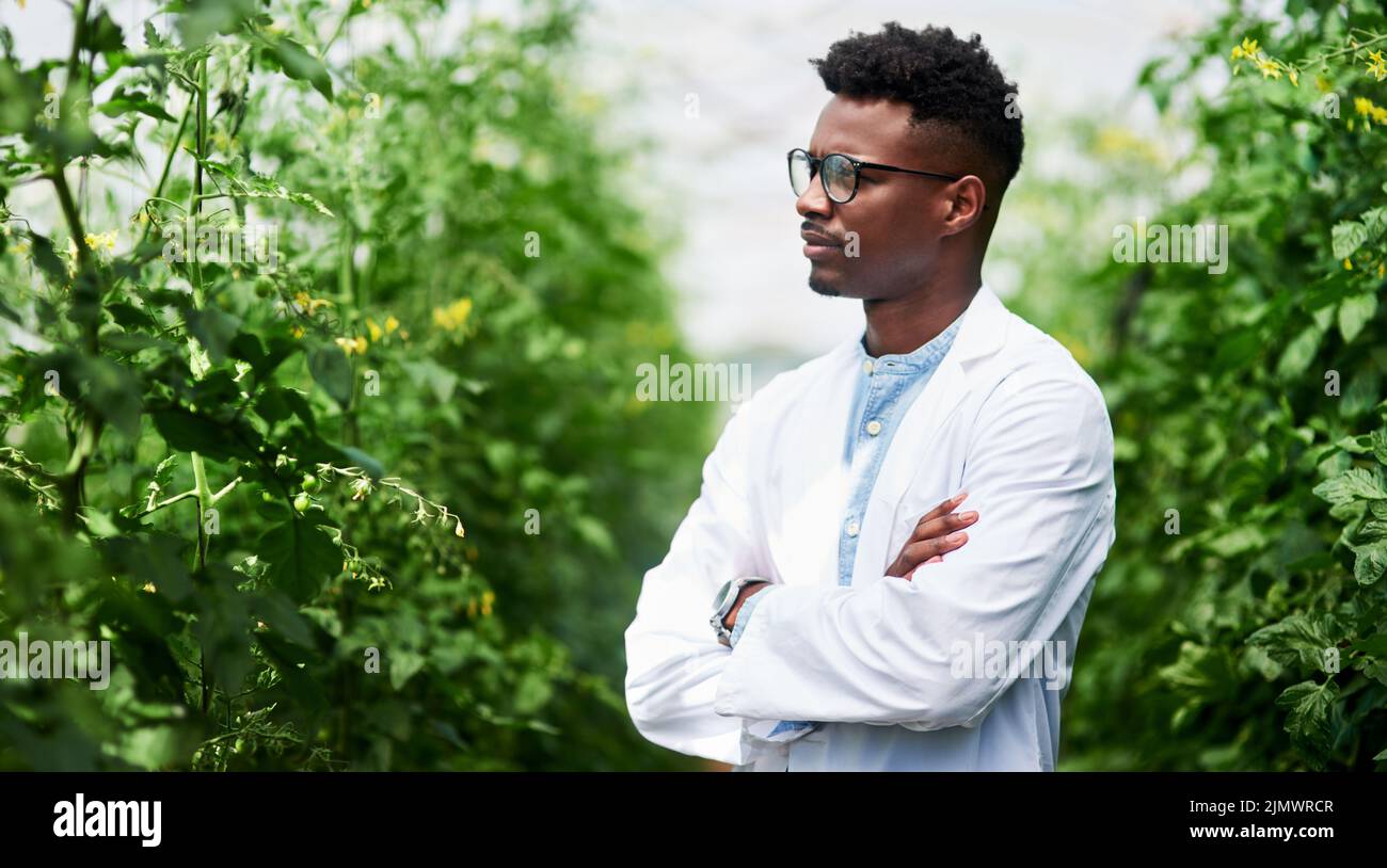 Discover plant hi-res stock photography and images - Alamy