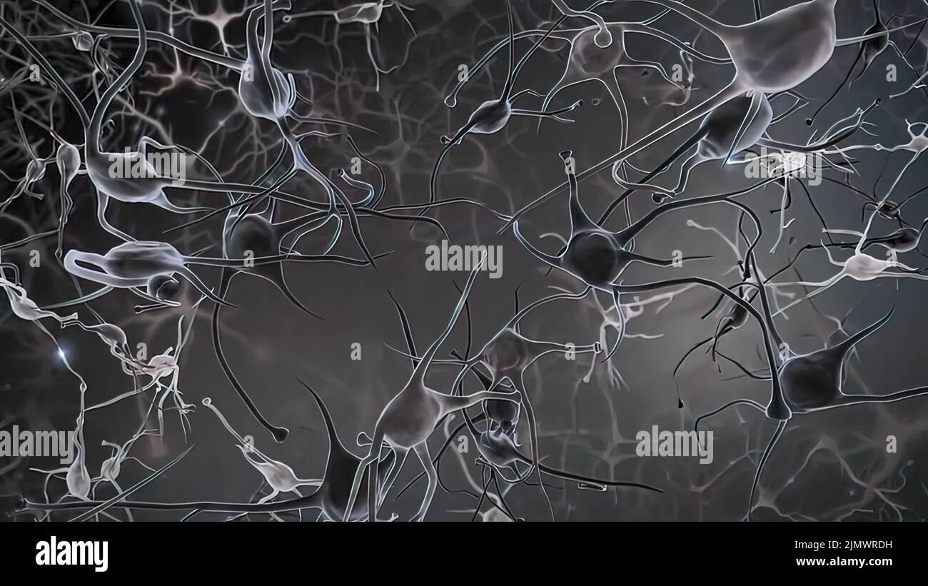 Brain brain activity hi-res stock photography and images - Alamy