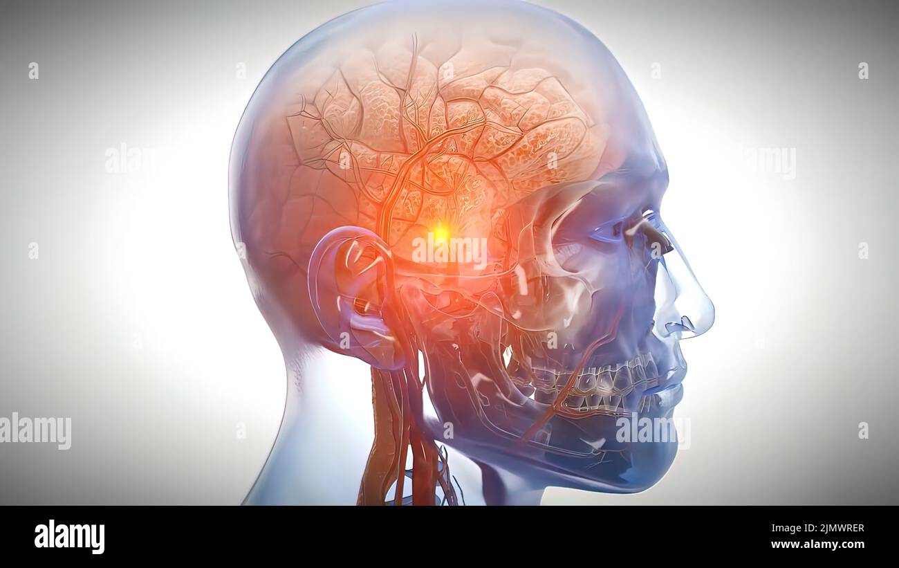 Neuro connections hi-res stock photography and images - Alamy