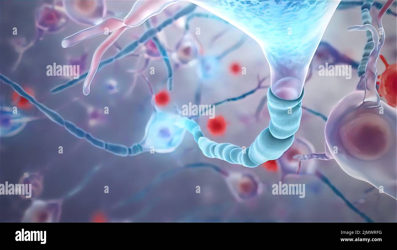 Nerve cell connection hi-res stock photography and images - Alamy