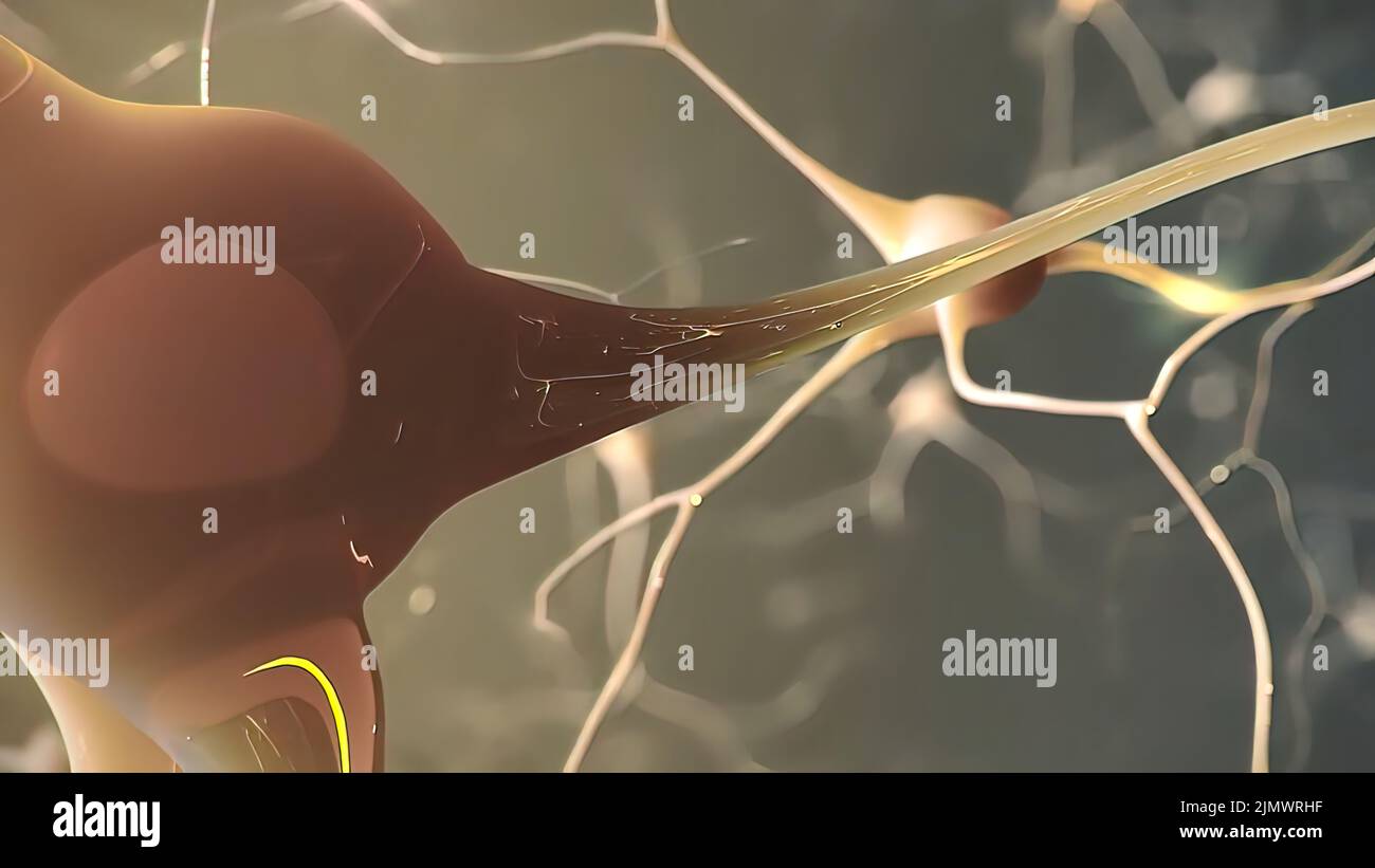 Chemical synapses neuron hi-res stock photography and images - Alamy