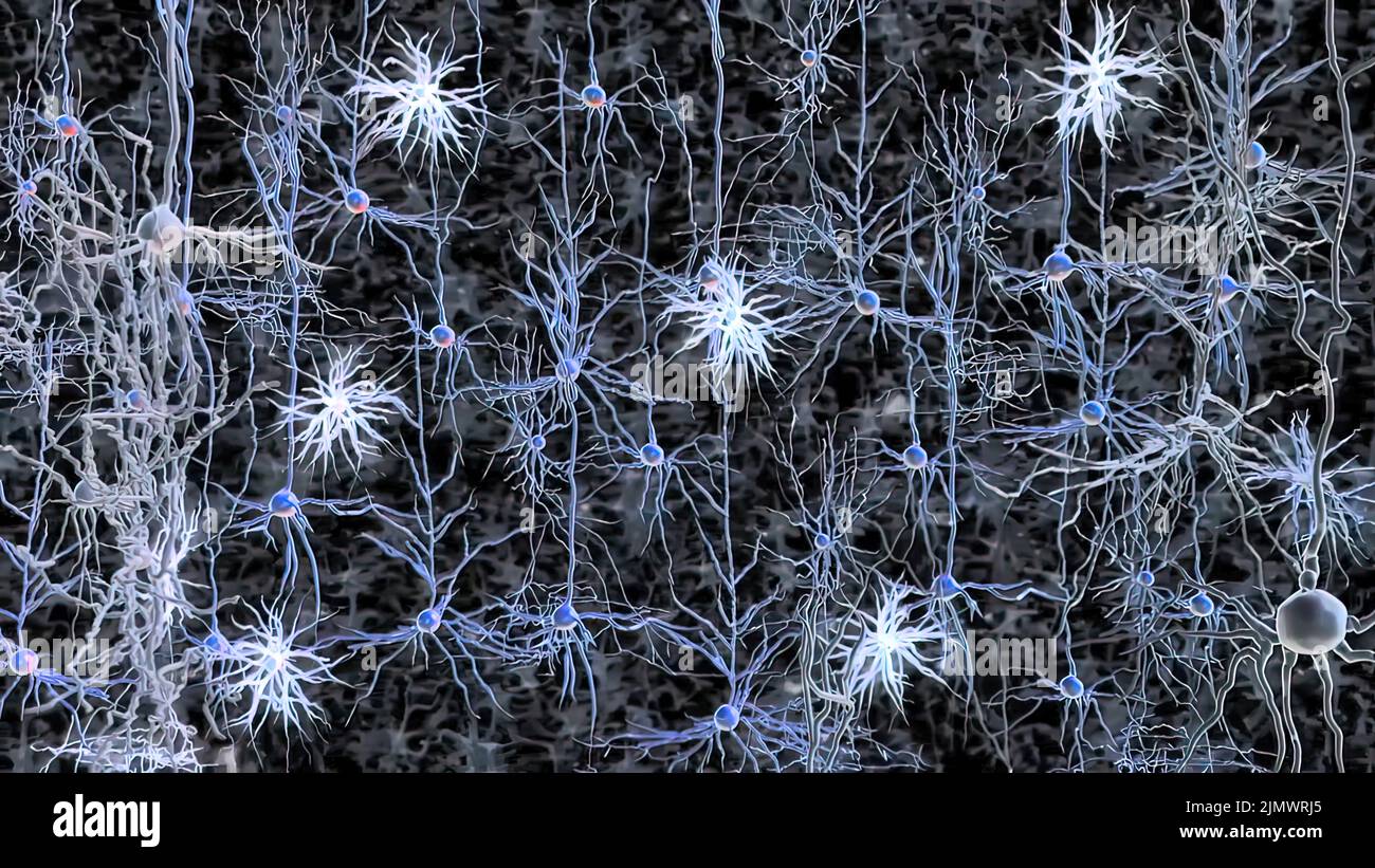 Neuro connections hi-res stock photography and images - Alamy
