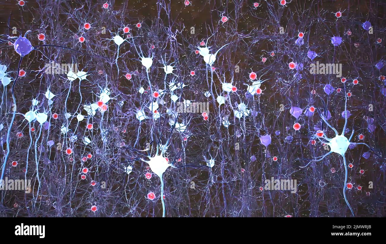 Neurons electrical light hi-res stock photography and images - Alamy