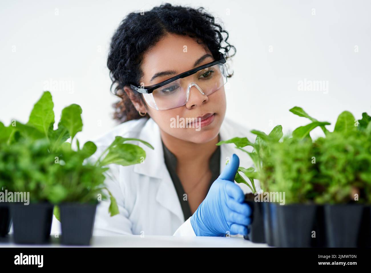 I have my hopes up to achieve greater production. a female scientist ...