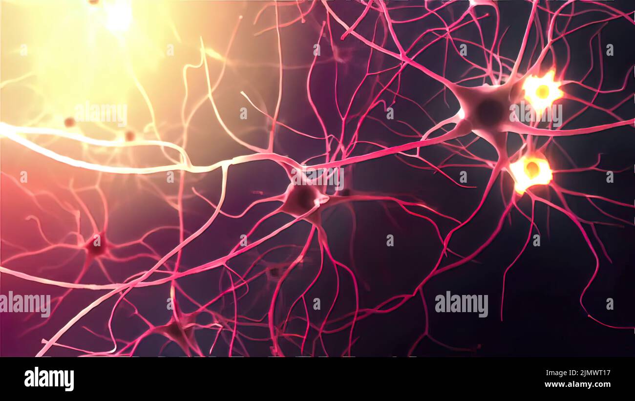 Cerebral connections hi-res stock photography and images - Alamy