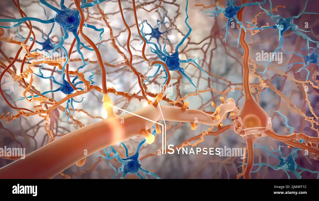 Black plaques hi-res stock photography and images - Alamy