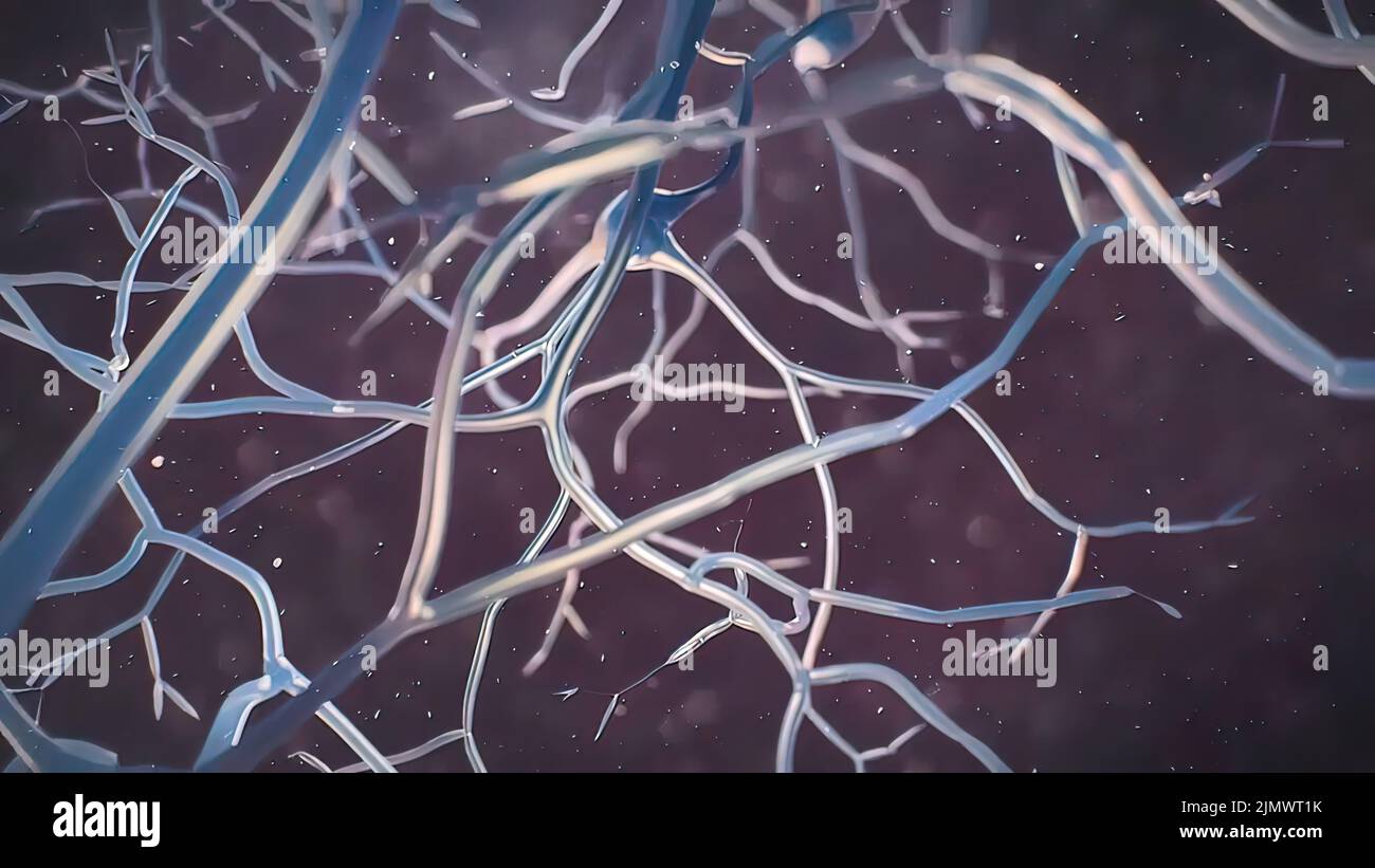 Electrical brain hi-res stock photography and images - Alamy