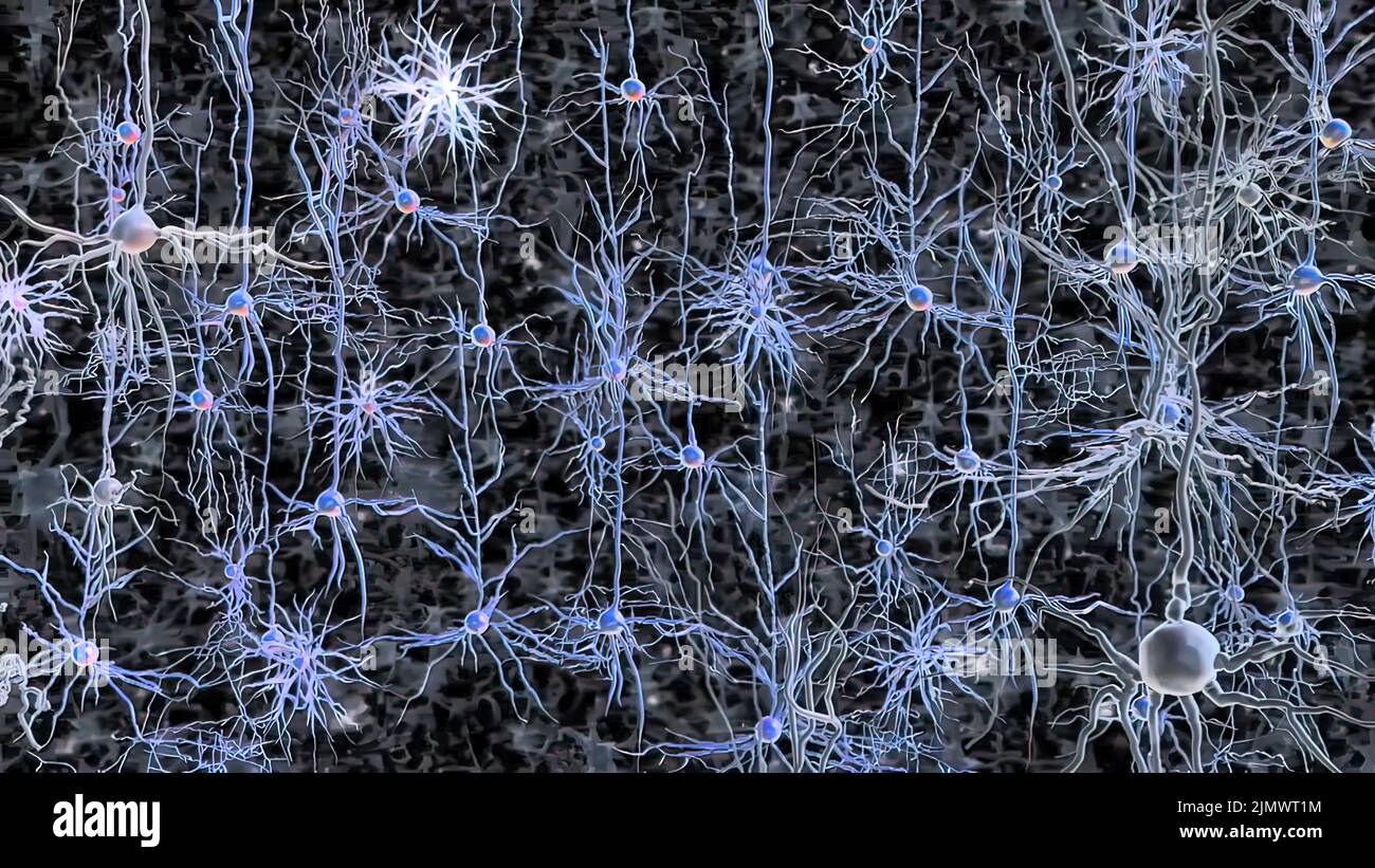 Neuro connections hi-res stock photography and images - Alamy