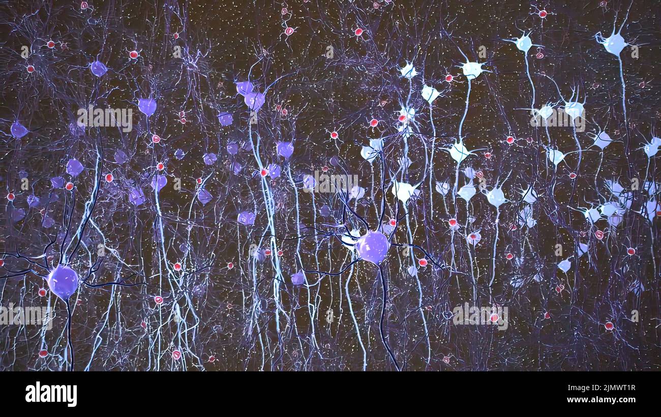 Neuro connections hi-res stock photography and images - Alamy