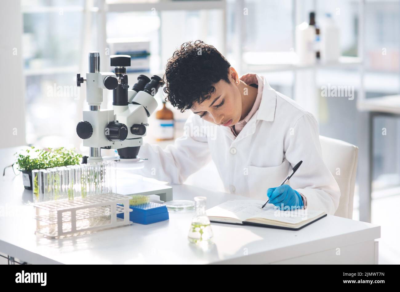 Recording of results is very important in science. an attractive young ...