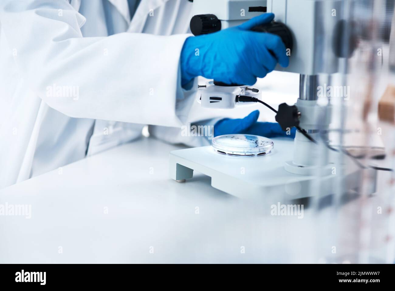 Theres a lot to see once its under the lens. Closeup shot of an ...