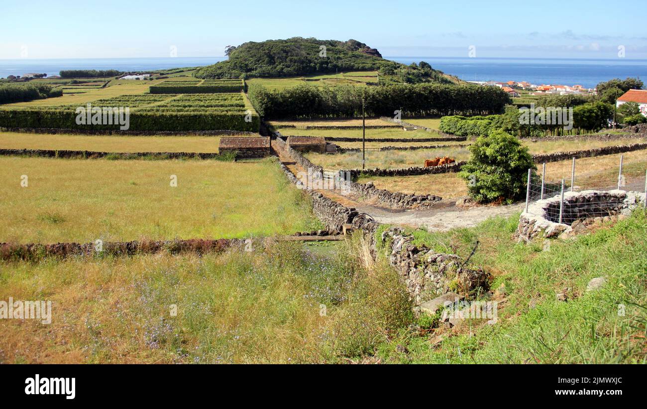 Rural landscape near Porto Judeu, Atlantic Ocean in the background, on ...