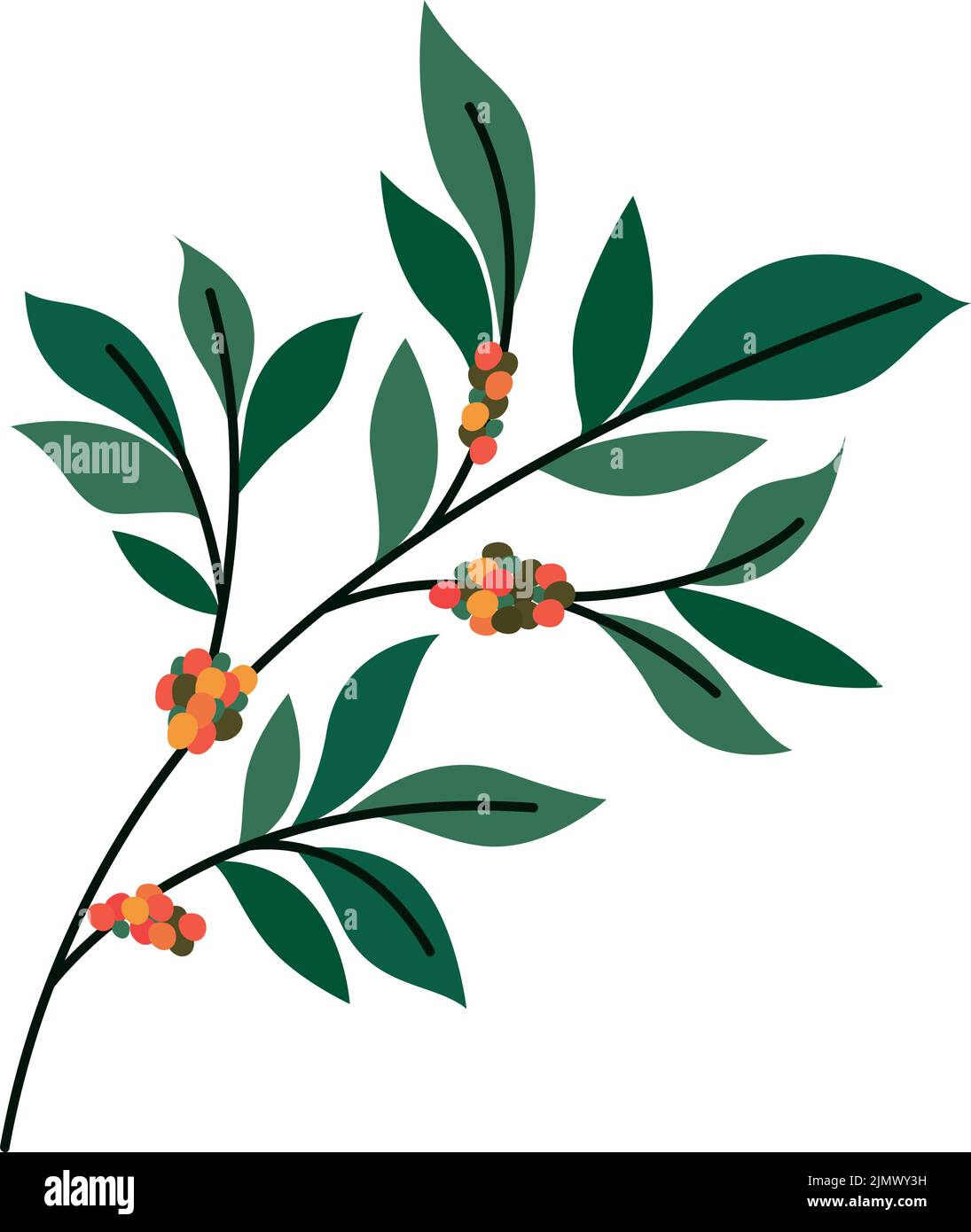 colored coffee plant Stock Vector Image & Art - Alamy