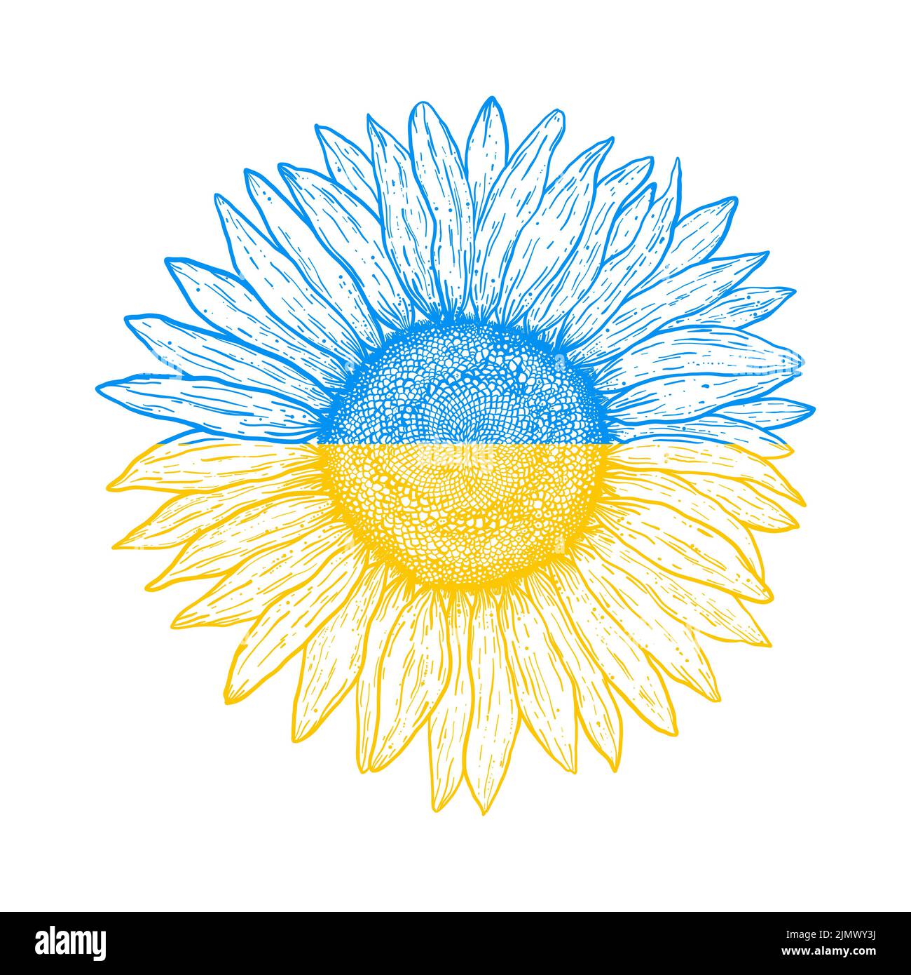 Sunflower in vintage style Stock Vector Image & Art - Alamy