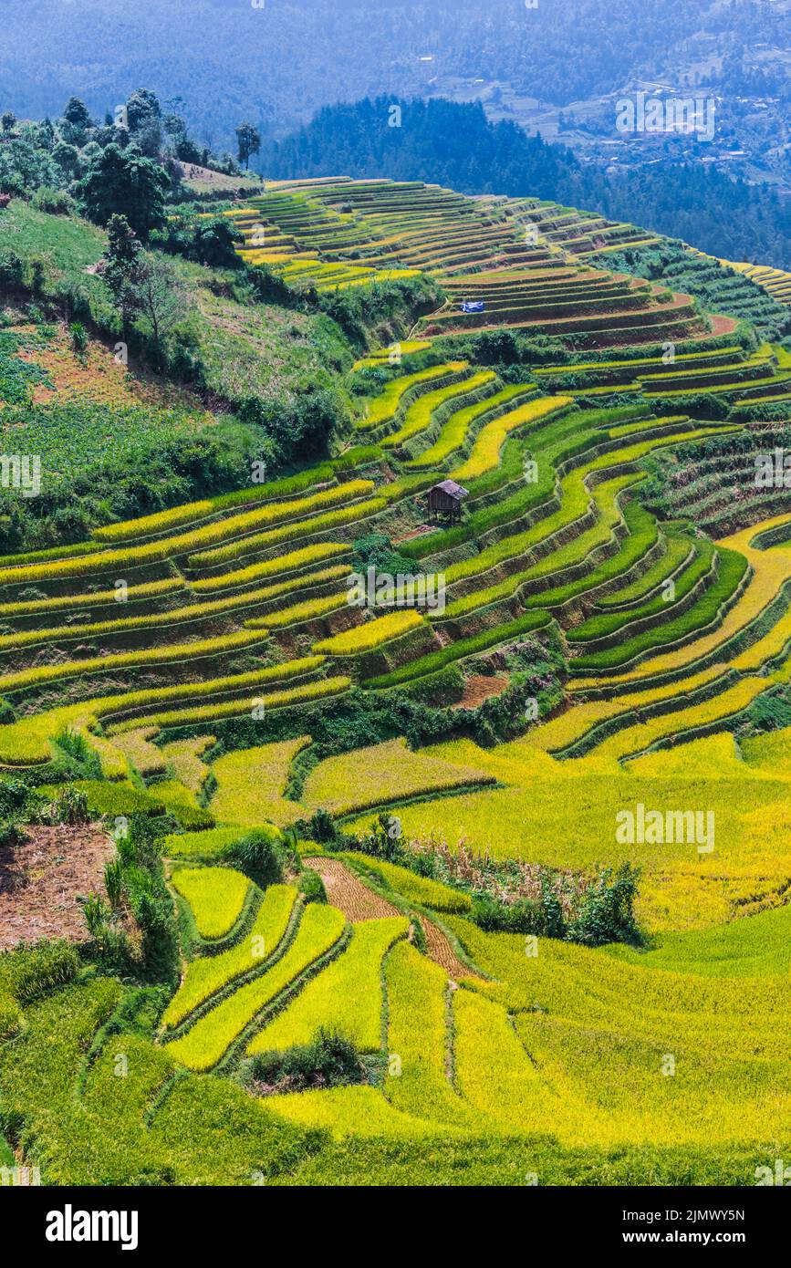 Landscape view of rice fields in Mu Cang Chai District Stock Photo - Alamy