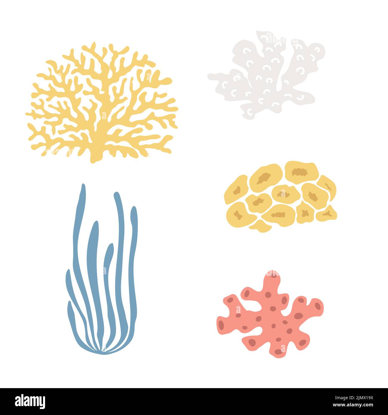 Cute vector ocean set with algae, corals,.Underwater cartoon creatures ...