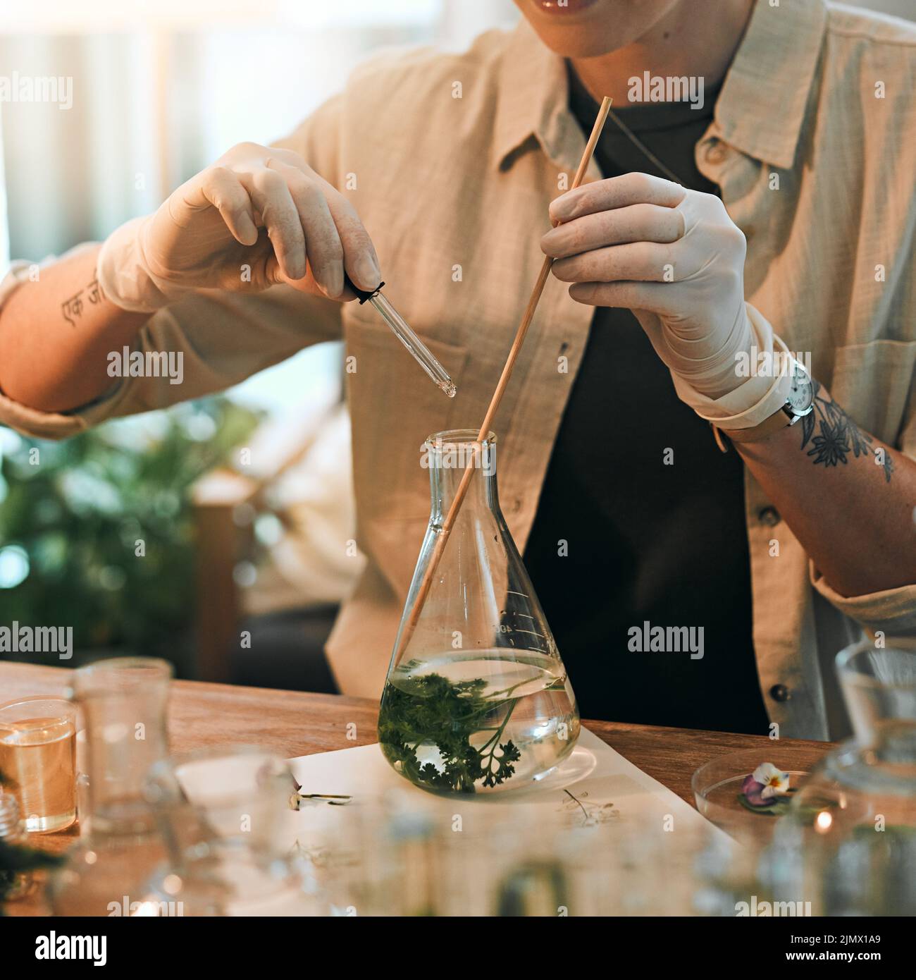 Hydroponics is the fastest growing cultivation technique in botany. an ...