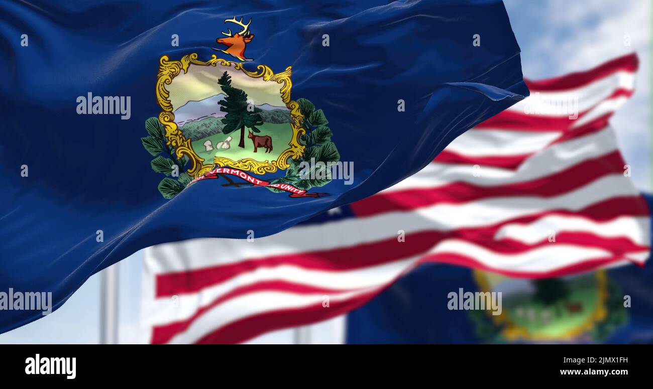 The Vermont state flag waving along with the national flag of the ...