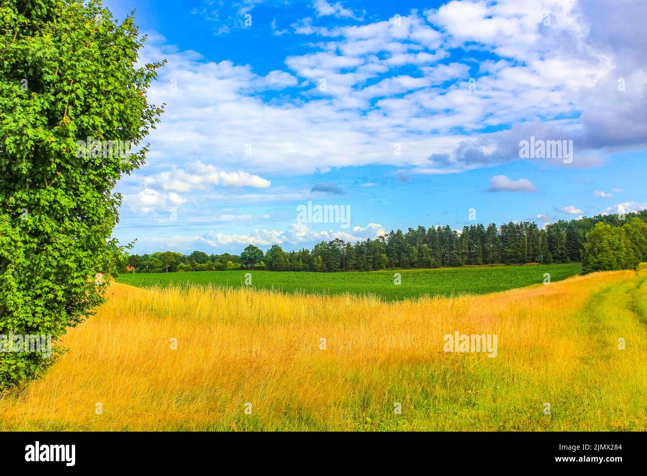 Agricultural city landscape hi-res stock photography and images - Alamy