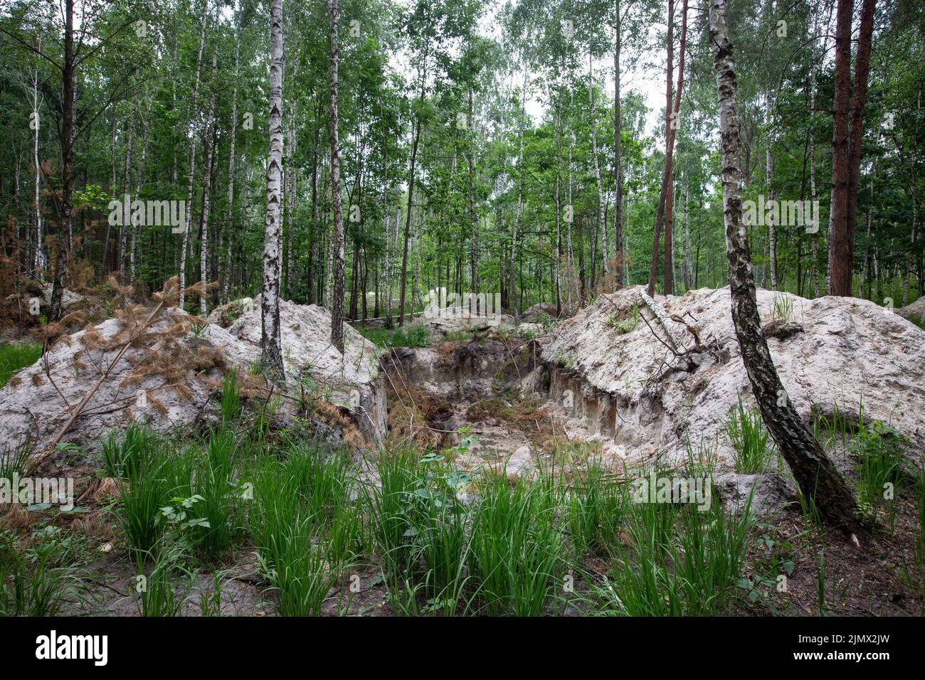 Former fortified area of Russian troops in a forest near the town of ...